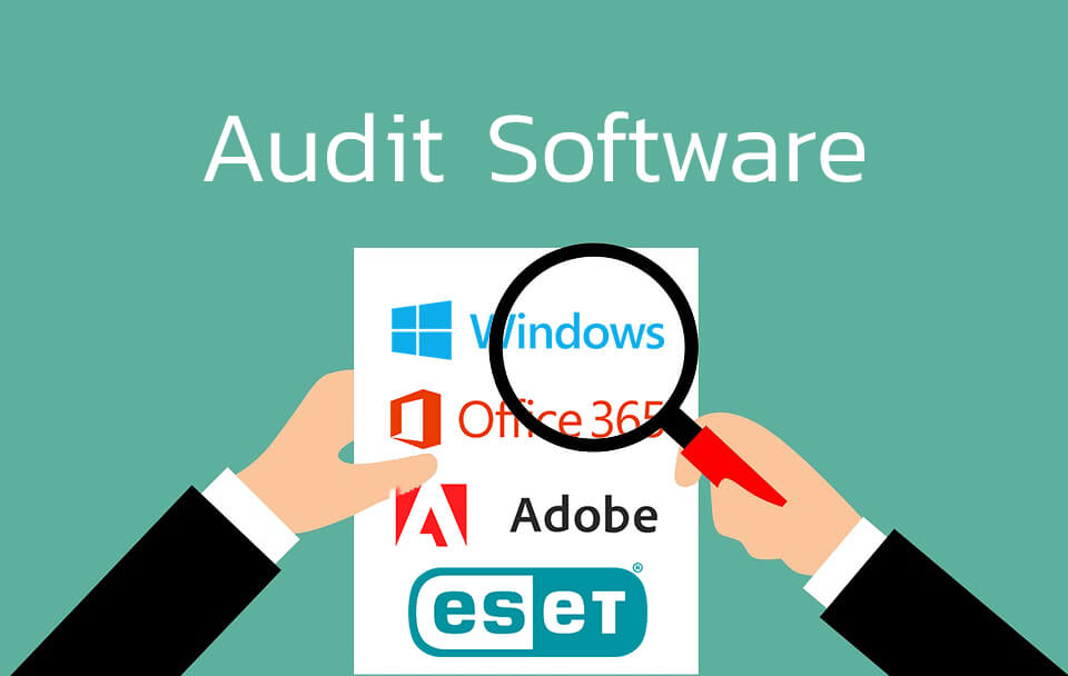 Auditing Software